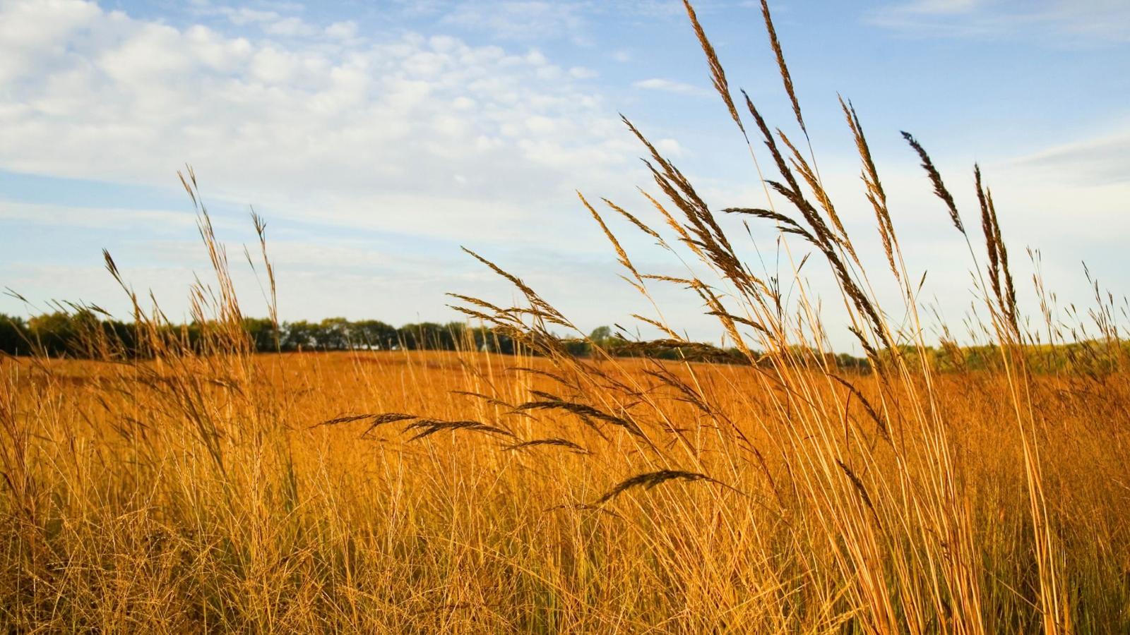 Life in Saskatchewan | University of Regina